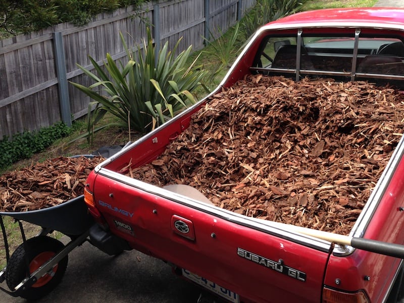 A Tribute To The Subaru Brumby Ute – Swadeology